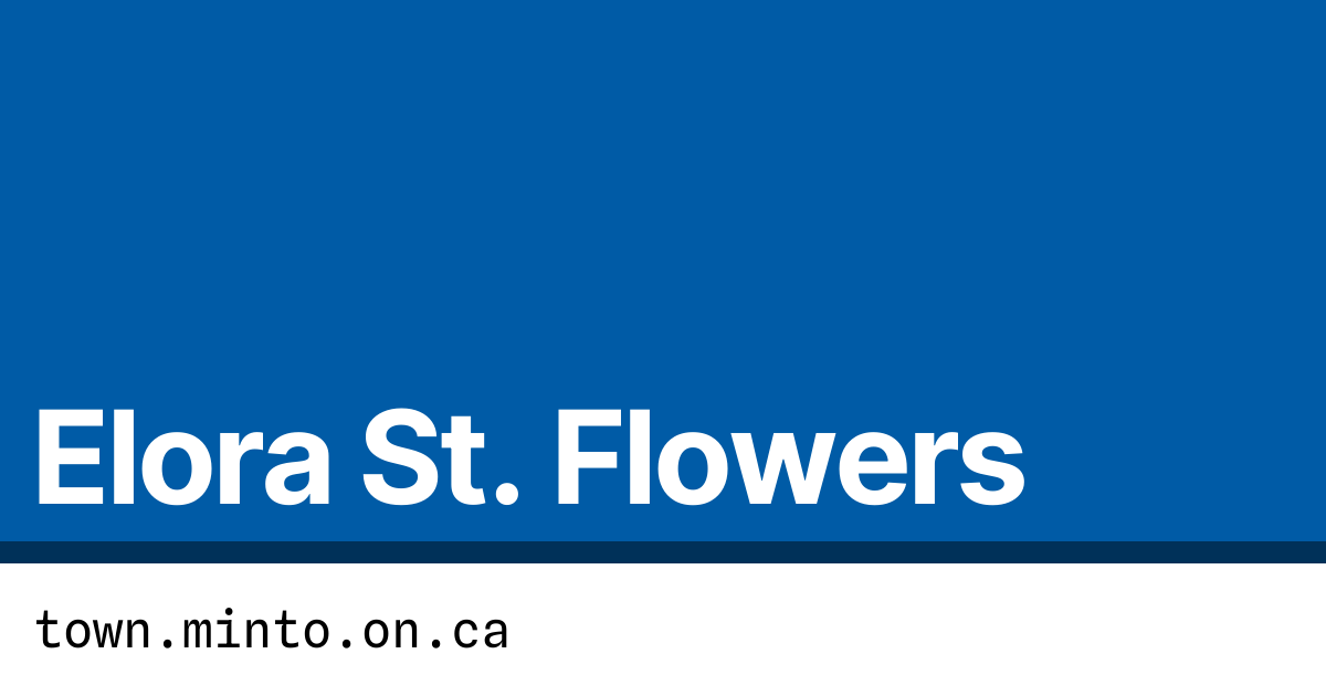 Elora St. Flowers | Town of Minto